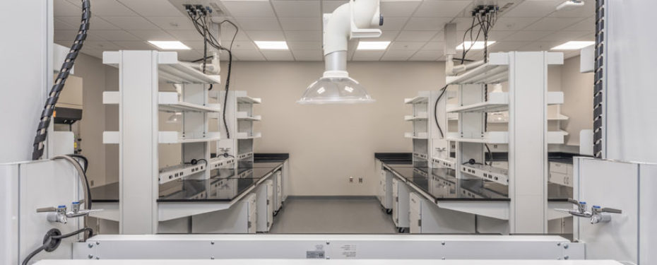 Bronson lab - gaswdeath